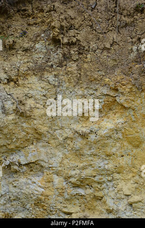 textured solid yellow-brown sandy surface. Background. Marble Texture ...