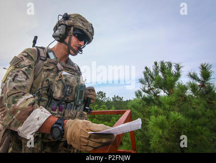 The 20th Air Support Operations Squadron and other TACP community Stock ...
