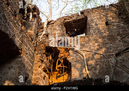 Redi fort in north GOA Stock Photo - Alamy