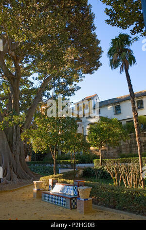 Trees in a garden, Murillo Garden, Seville, Seville Province, Andalusia ...