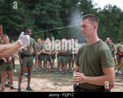 Marine Security Guard (MSG) students with Marine Corps Embassy Security ...