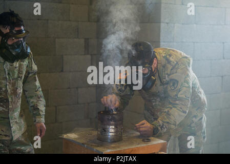 Two U.S. Soldiers assigned to the 650th Military Intelligence Group ...