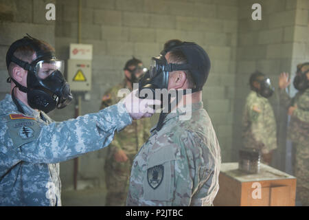 A U.S. Soldier assigned to the 650th Military Intelligence Group wears ...