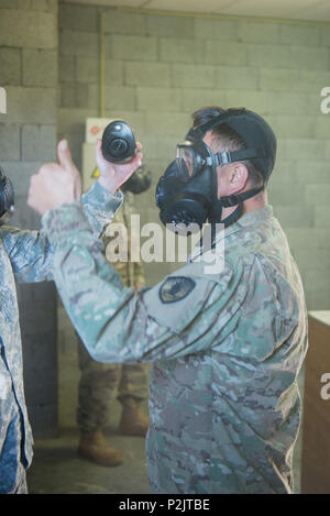 A U.S. Soldier assigned to the 650th Military Intelligence Group ...