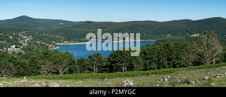 France, Tarn, Lacaune, Monts de Lacaune, Regional Natural Park of Haut ...