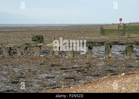 A view of a timber breakwater sea defence on the Norfolk coast at ...