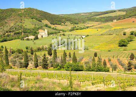Italy, Tuscany, Brunello vineyards around the Cistercian Abbey of San ...