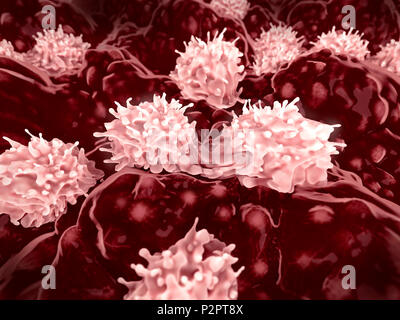 Illustration of stem cells. Stem cells can differentiate into any other ...