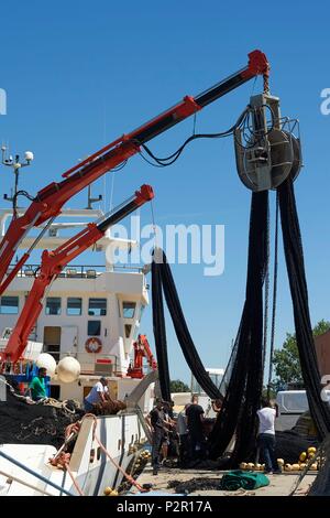 Man loading fish on boat Stock Photo - Alamy