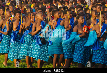 Swazi girls parade at Umhlanga (Reed Dance Festival), Swaziland Stock ...