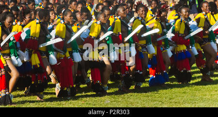 Swazi girls carrying sword parade at Umhlanga (Reed Dance Festival ...