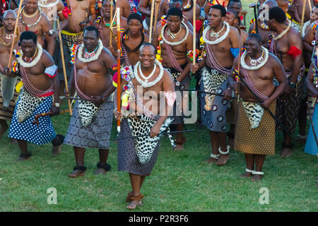 Swazi man with girls parade at Umhlanga (Reed Dance Festival ...