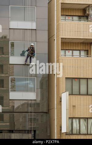 Industrial window cleaner - man hanging on roofs with safety equipment ...