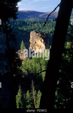 Steins Pillar from Steins Pillar Trail, Ochoco National Forest, Oregon ...