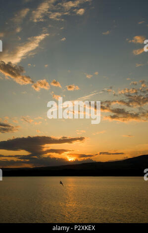 Marina on the Columbia River Oregon USA Stock Photo - Alamy