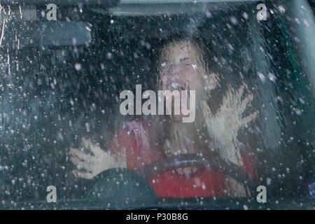 The Final Destination Year : 2009 Director : David R. Ellis Krista ...