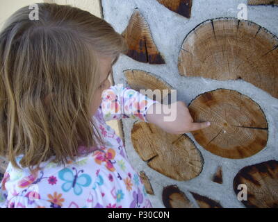 Tree rings to count the age of a tree Stock Photo - Alamy