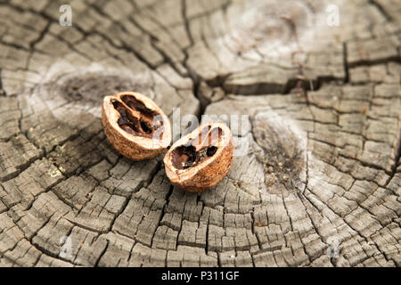 Persian walnut, English walnut, Carpathian walnut, Madeira walnut ...