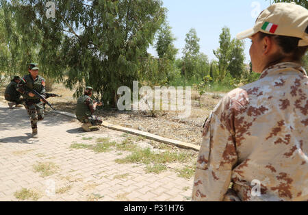 Zeravani, a specialized branch of the Peshmerga soldiers, conduct a ...