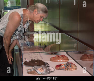 Description: August 2016 Science Cafe. Caption: CAPT Walter M ...