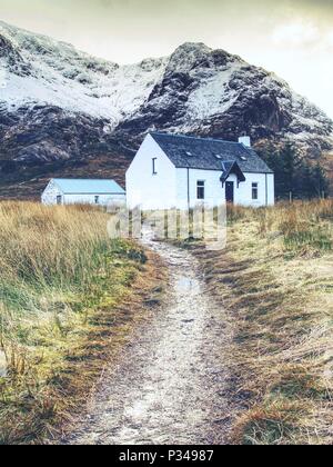 White Scottish Highland croft cottage with blue door and grazing sheep ...
