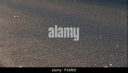 poplar fluff slowly falling on a street at sunset, wide photo Stock ...