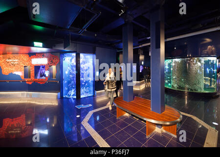 Monaco, Aquarium in Oceanographic Museum (Musee oceanographique Stock ...
