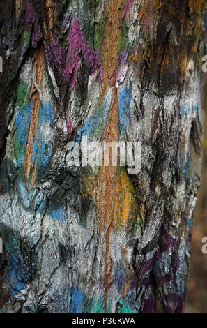 A vertical shot of a tree trunk with a painted sign of a bicycle on it ...