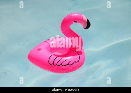 Inflatable pink flamingo in a swimming pool in a sunny day Stock Photo ...