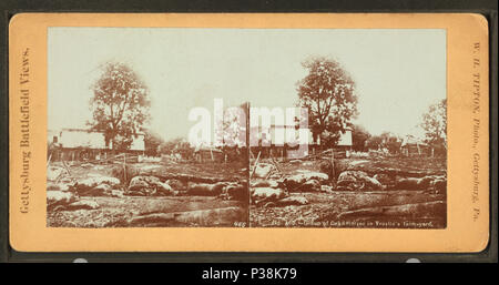 Group of dead horses in Trostle's farm-yard, by Tipton, William H, 1850 ...