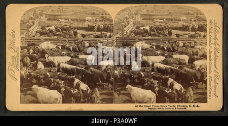 Chicago Stockyards 12 Stock Photo - Alamy