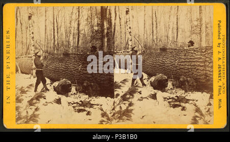 Men sawing at the lumber camp, by Jenney, J A (James A Stock Photo - Alamy