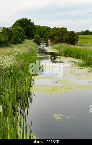 A section of the Lancaster canal and lock at Tewitfield Locks on the ...