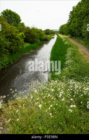 A section of the Lancaster canal and lock at Tewitfield Locks on the ...