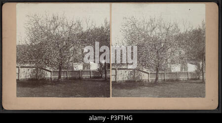 Trees in bloom, by DeMott, S., fl. 1880 1899 Stock Photo - Alamy