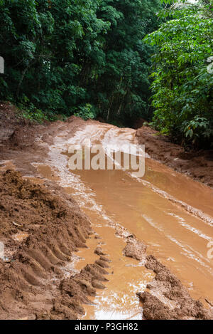 mud road after rain in jungle to Bagyliem, Cameroon Stock Photo - Alamy