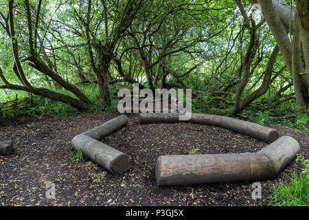 4pm Saturday 16th June 2018. Magor Marsh Nature Reserve, Magor, South ...