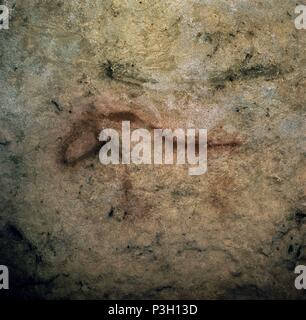 Cueva de la Pileta (Cave of the Pool). Cave paintings of bovids. Upper ...