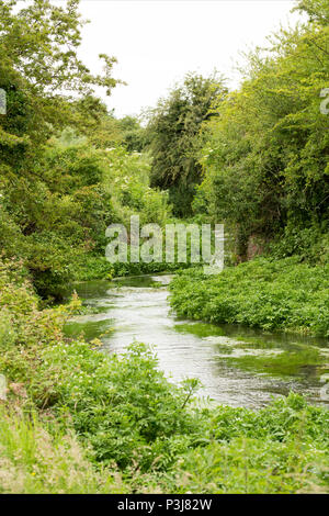 Shreen Water chalkstream below the small town of Mere in Wiltshire UK ...