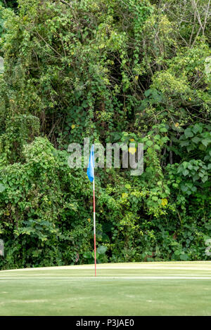 Kota Kinabalu golf course, hotels and marina. Aerial view of Sabah ...