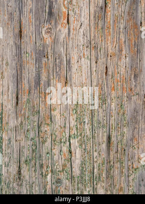 Old patterned wooden background in turquoise or blue with peeled color ...