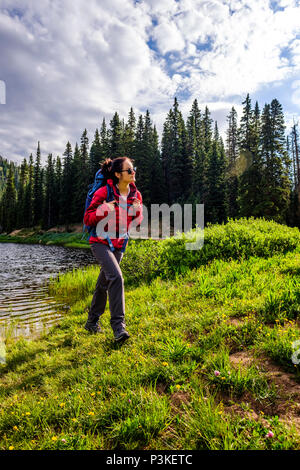 Female backpacker, Bolam Pass, Colorado Trail, Colorado, USA Stock ...