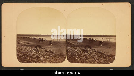 First Beach, by Joshua Appleby Williams 3 Stock Photo - Alamy