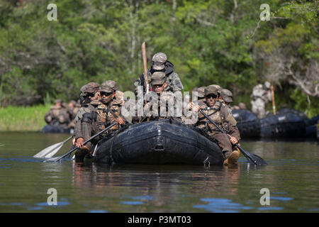 A group U.S. Army Ranger students, assigned to the Airborne and Ranger ...