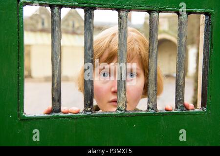 Original Film Title: PHILOMENA. English Title: PHILOMENA. Film Director ...