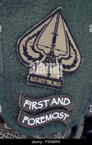 A patch worn by a Soldier assigned to the 9th Infantry Brigade, 6th ...