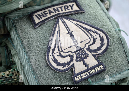 A patch worn by a Soldier assigned to the 9th Infantry Brigade, 6th ...