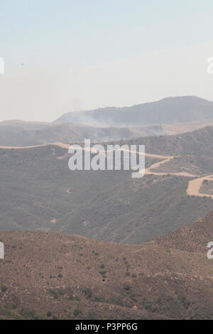 An area affected by the fire, on July 9, 2025, in Xerta, Tarragona ...