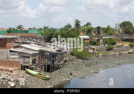 RECIFE, PE - 10.10.2015: FAVELA DO COQUE - Sofás velhos e muros ...