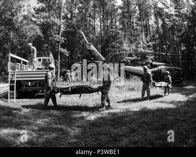 Soldiers from the 387th Quartermaster Company, Mortuary Affairs ...
